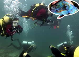 Opal Mining Drilling, trench searching, open cut, divining techniques