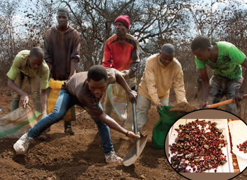 Ruby mineral extraction methods open pit mining techniques
